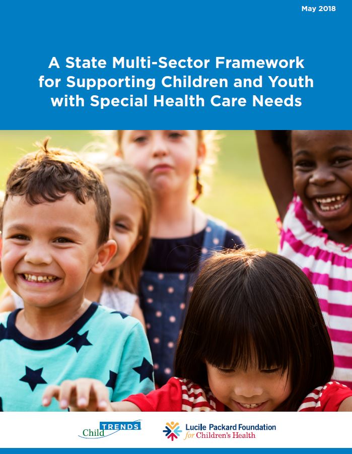A State Multi-Sector Framework for Supporting Children and Youth with ...