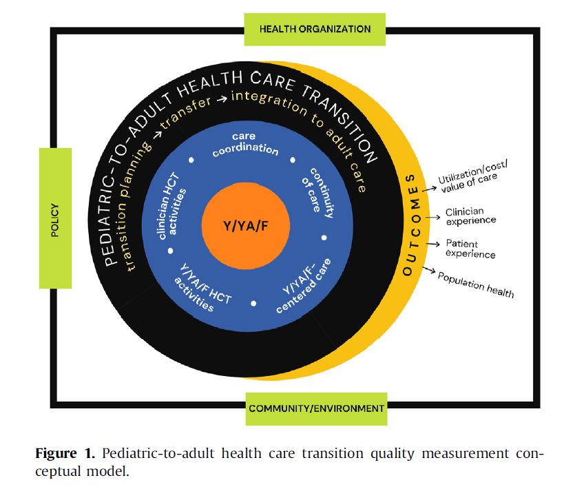 Quality Measurement Gaps in Pediatric-To-Adult Health Care Transition ...